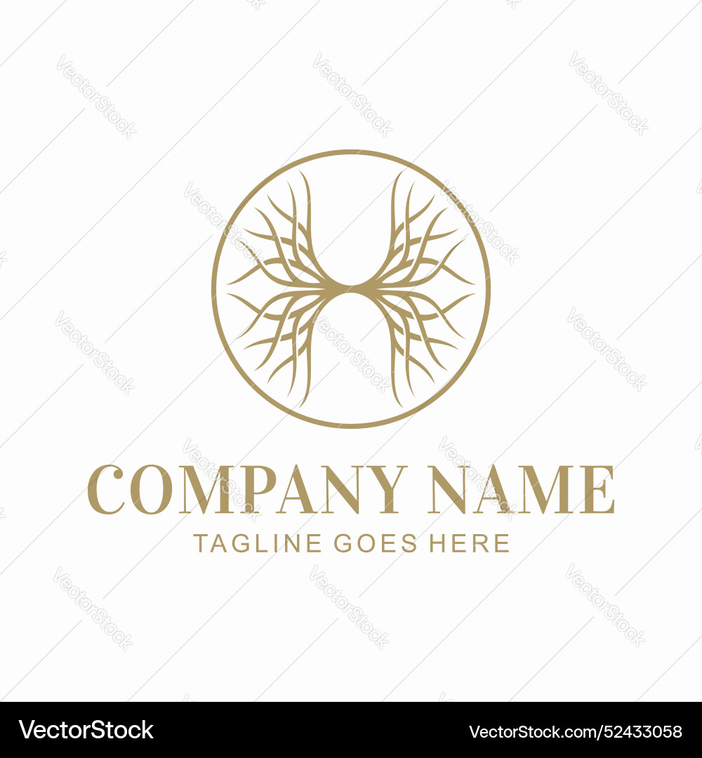 Letter h with root logo design Royalty Free Vector Image