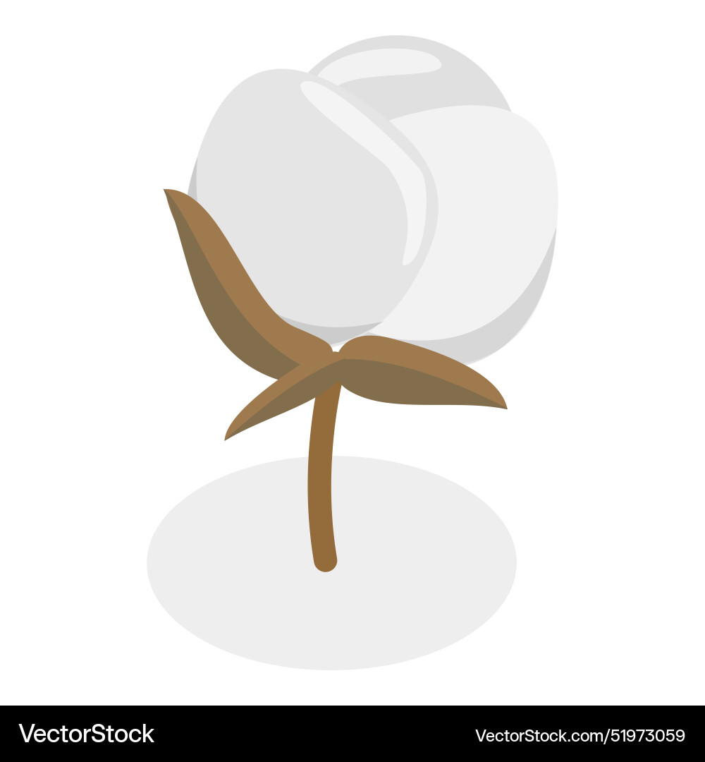 3d isometric flat of cotton Royalty Free Vector Image