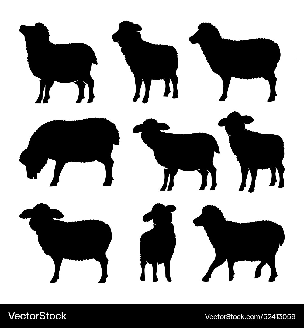 Flat sheep silhouettes collection Royalty Free Vector Image