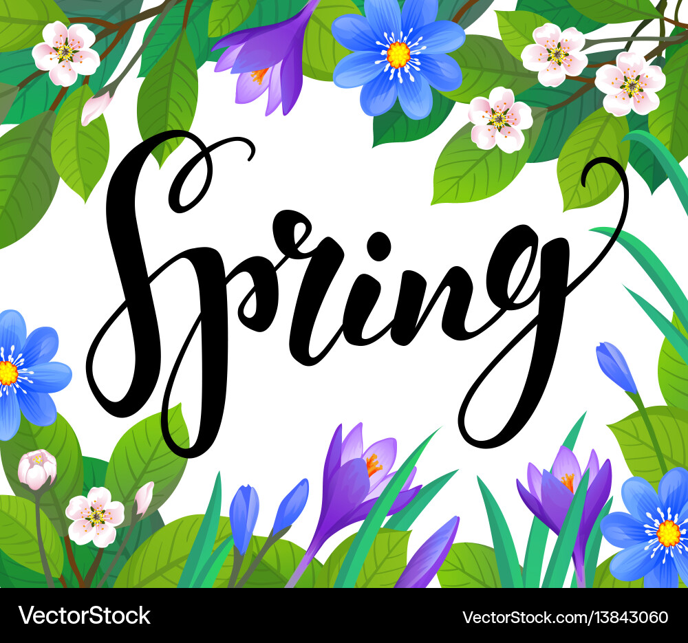 Spring text on floral background Royalty Free Vector Image