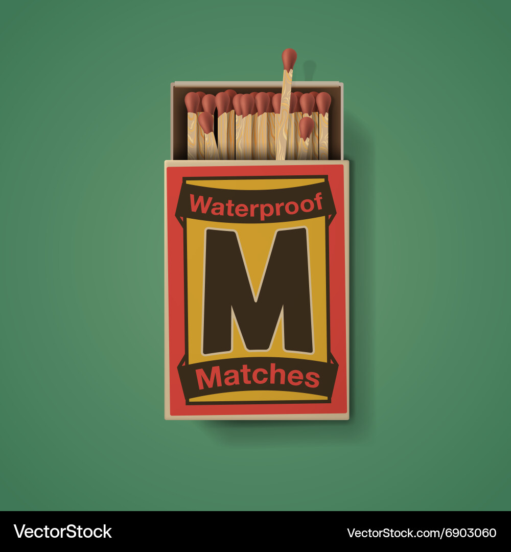 Top View Matchbox with Matches Royalty Free Vector Image