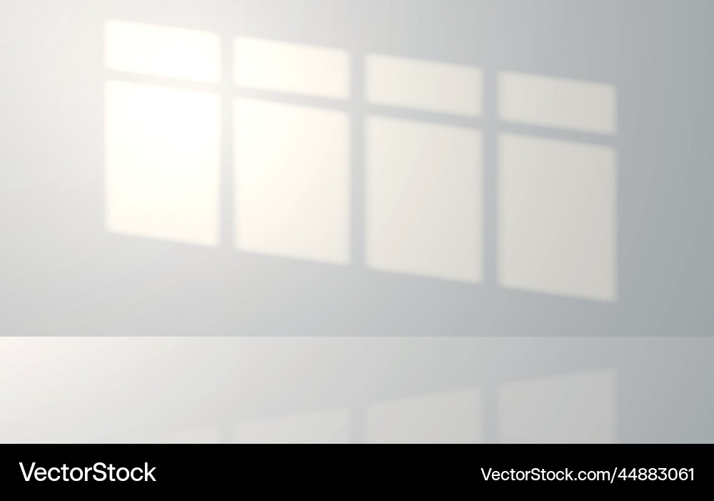 Empty white room with sun light Royalty Free Vector Image