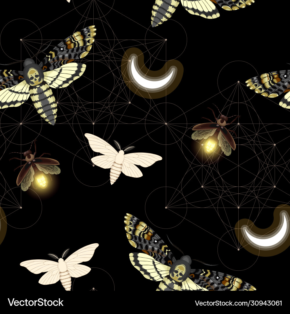 Pattern with death head hawk moth Royalty Free Vector Image