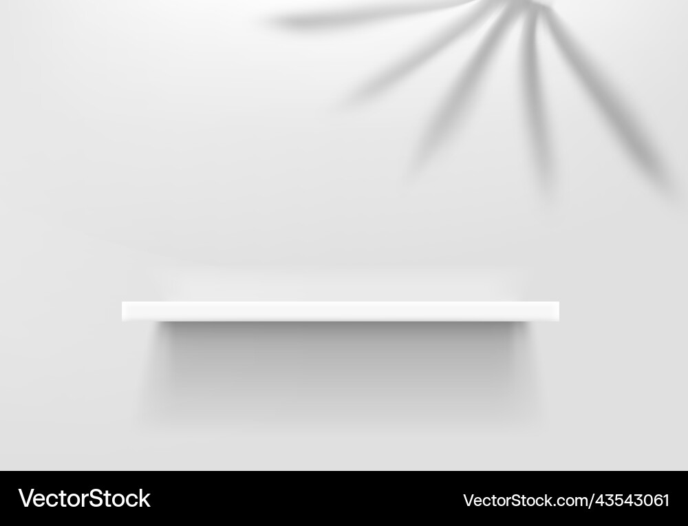 White empty shelf on wall with tropical Royalty Free Vector