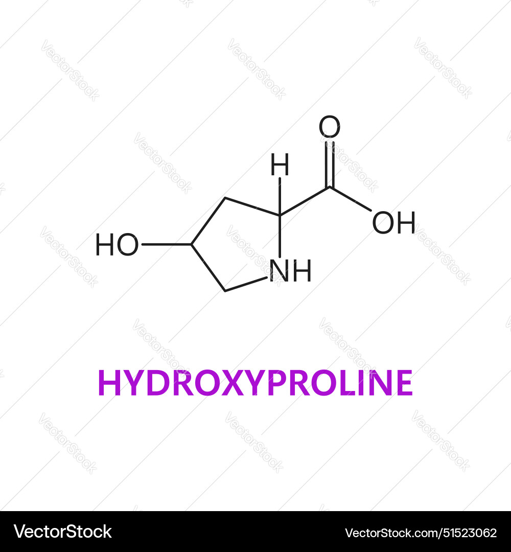 Hydroxyproline amino acid chemical molecules Vector Image