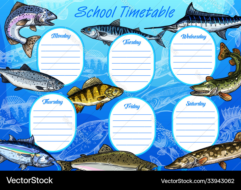 School timetable template with education schedule Vector Image