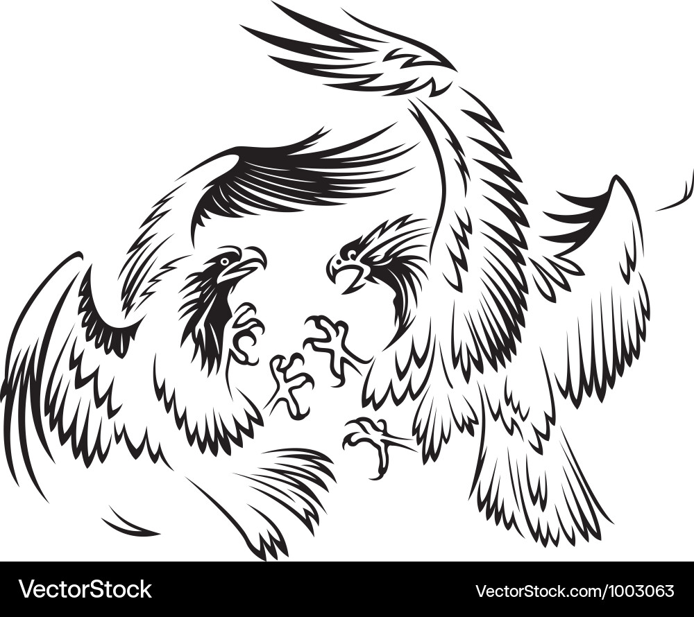 Fighting birds Royalty Free Vector Image - VectorStock