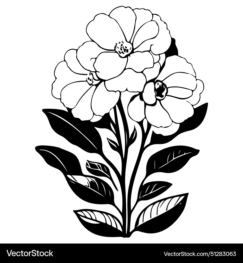 Primrose flower sketch Royalty Free Vector Image