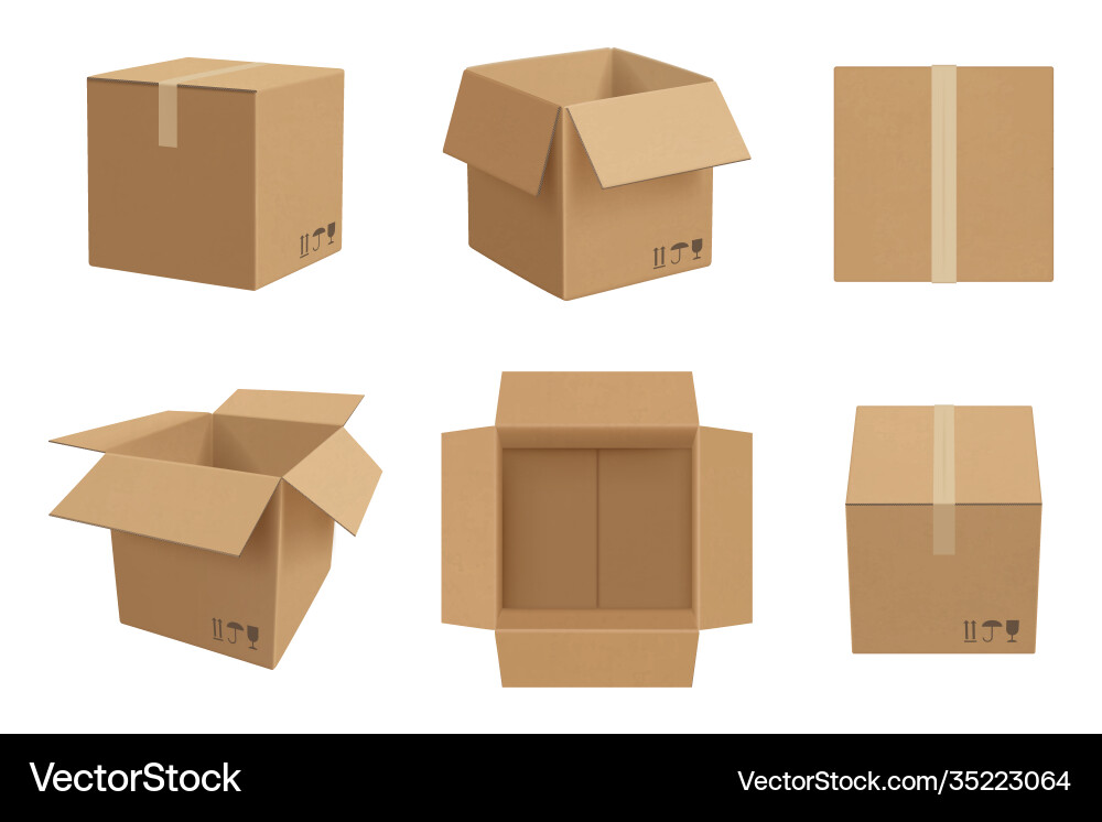 Box mockup open and closed cardboard package Vector Image