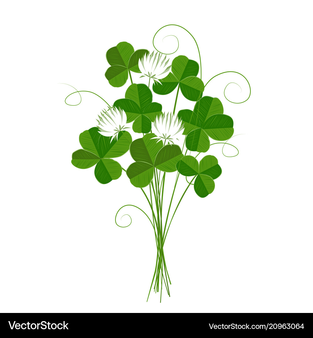 Green Shamrock Clover Bunch - Irish Symbol Vector Image