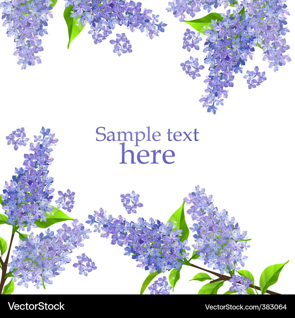 Lilac background Royalty Free Vector Image - VectorStock