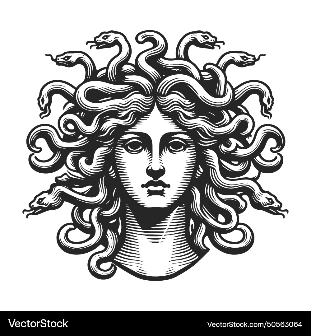 Medusa gorgo sketch Royalty Free Vector Image - VectorStock