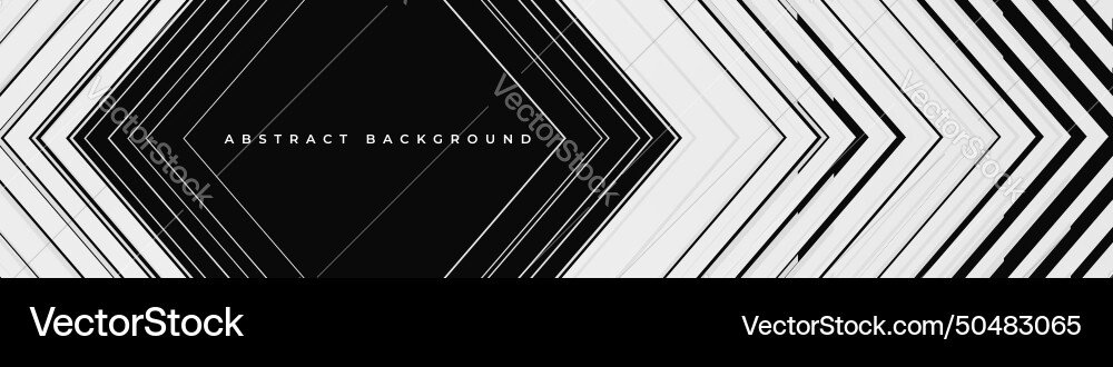 Black and white modern abstract background Vector Image