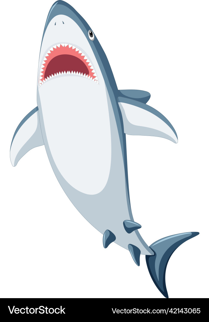 Großer weißer Hai Cartoon Lizenzfreies Vektorbild
