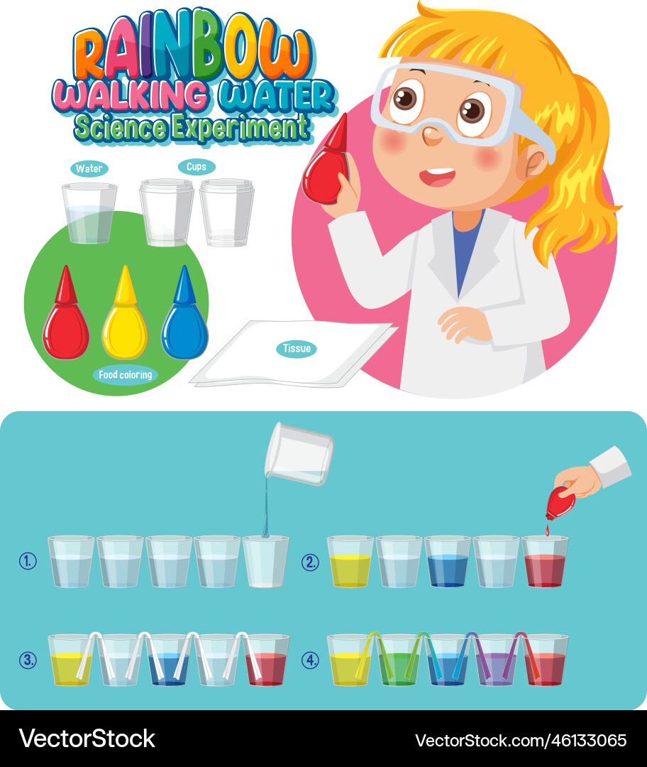 Rainbow walking water science experiment Vector Image