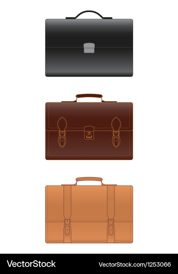 Bag Royalty Free Vector Image - VectorStock