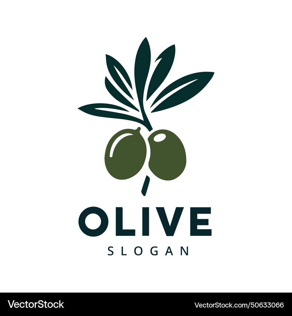 Olive oil logo design template premium Royalty Free Vector