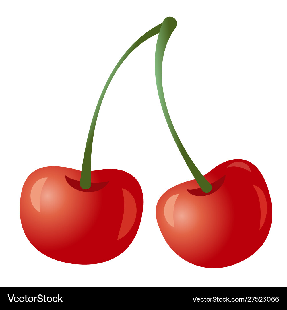 Two cherries Royalty Free Vector Image - VectorStock