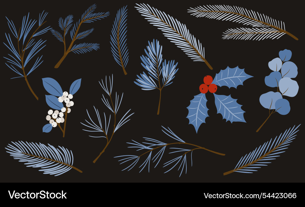 Winter berries and leaves Royalty Free Vector Image