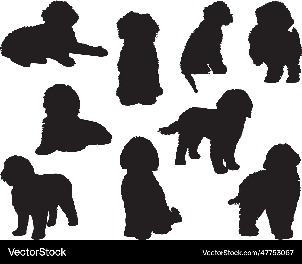 Labradoodle dog silhouette Royalty Free Vector Image