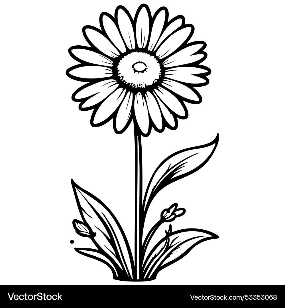 Engrave cartoon daisy hand drawn line Royalty Free Vector
