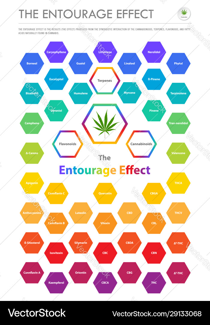 Entourage Effect - Cannabis Science Royalty Free Vector