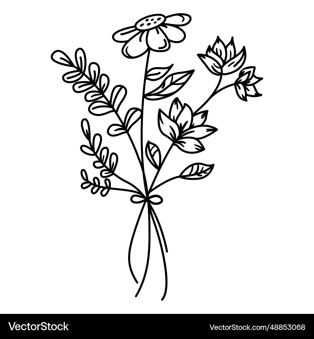 Flowers pollen thick bunch drawing stroke Vector Image