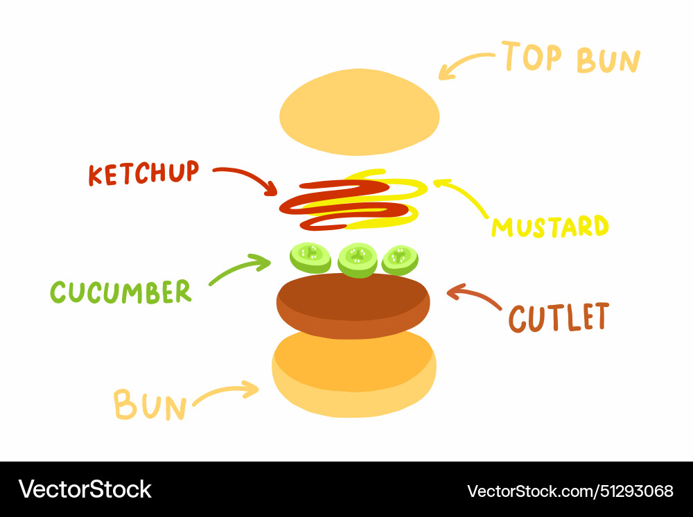 Hamburger composition infographics ingredients Vector Image