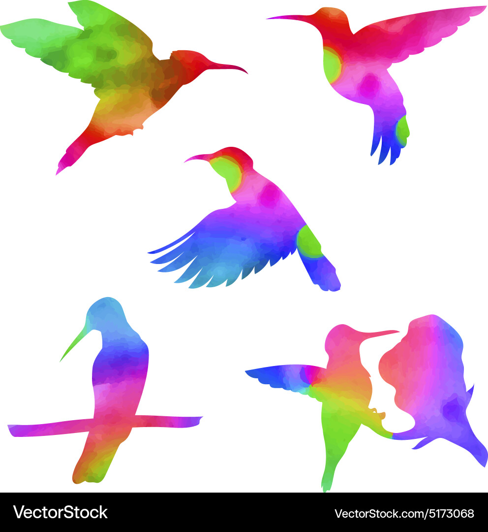 Watercolor colibri set Royalty Free Vector Image
