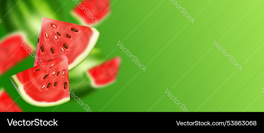 Watermelon triangle slice with seeds Royalty Free Vector