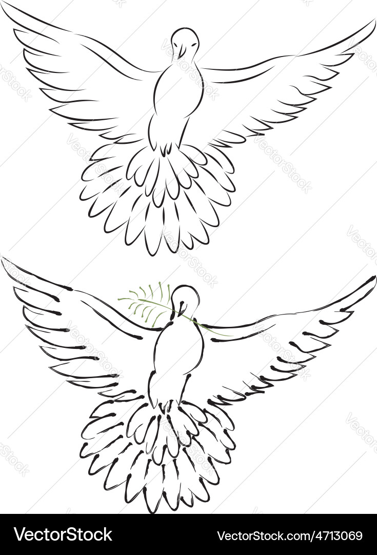 Dove line art2 Royalty Free Vector Image - VectorStock