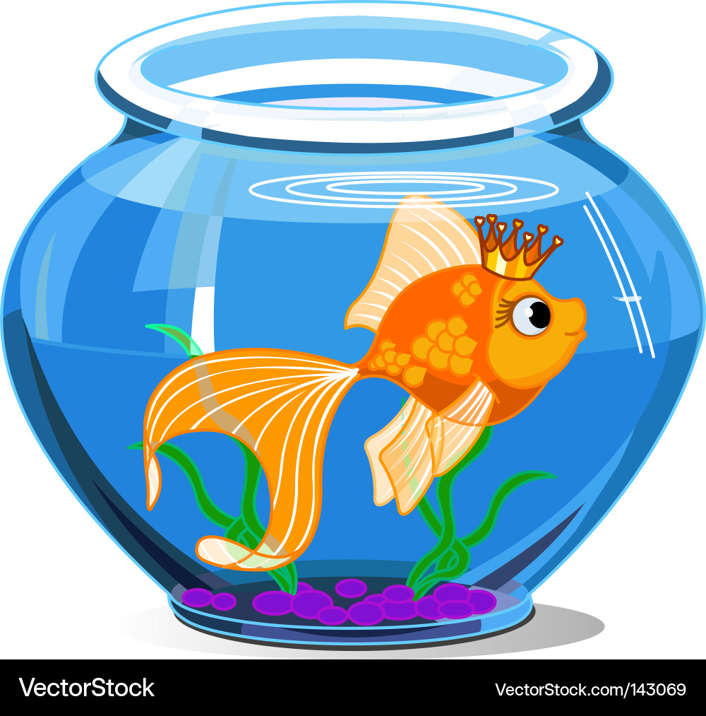 Gold fish Royalty Free Vector Image - VectorStock