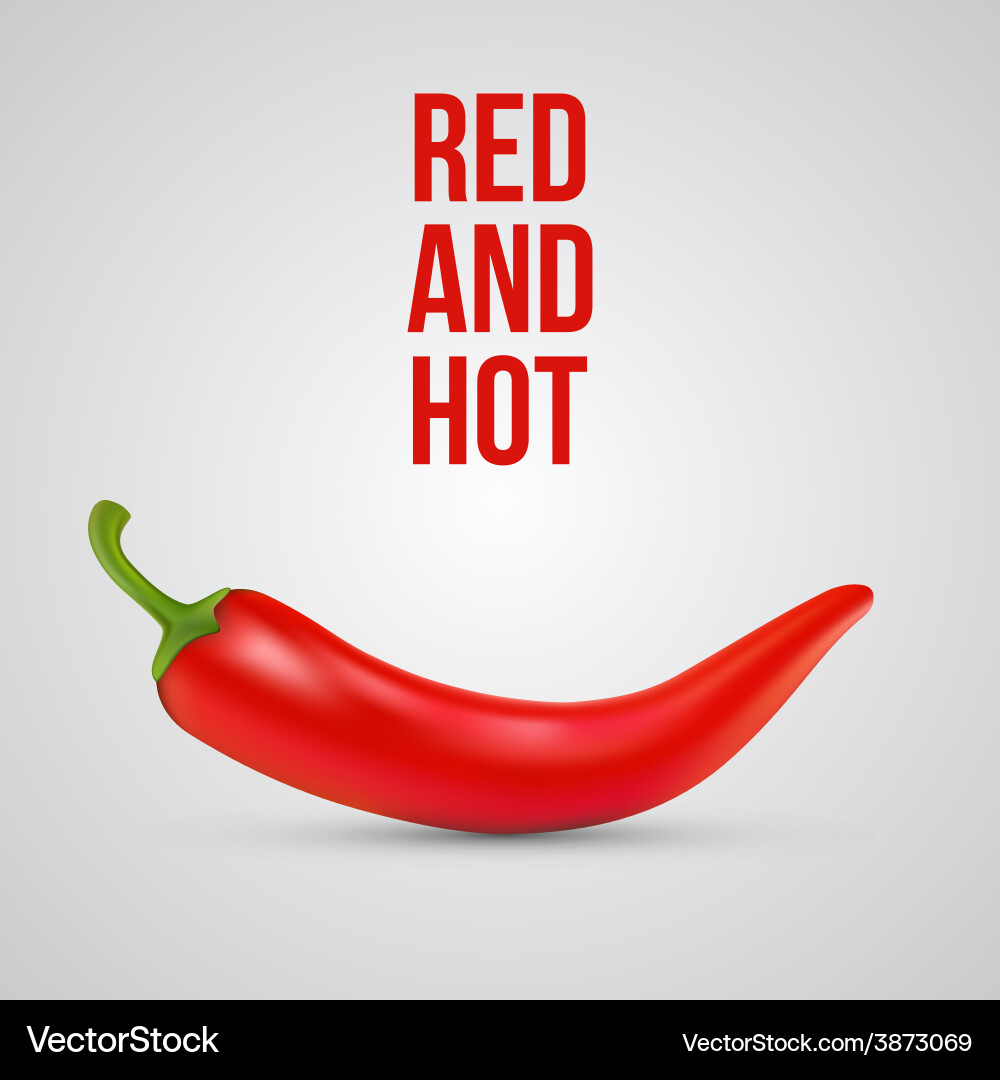 Red hot chili pepper Royalty Free Vector Image