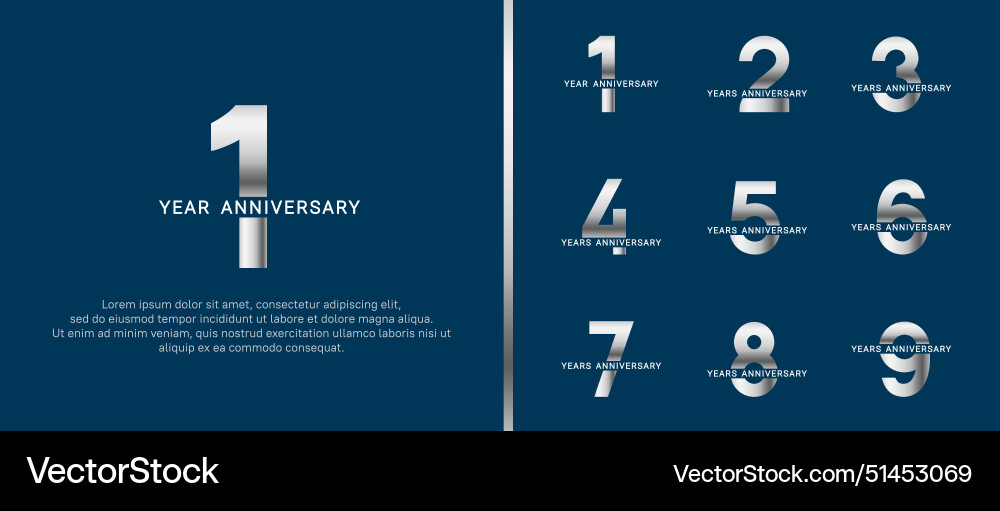 Set of anniversary logo style silver and white Vector Image