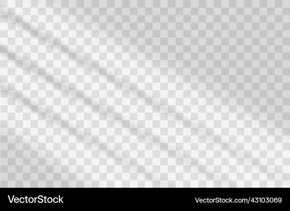 Shadow overlays on transparent background Vector Image