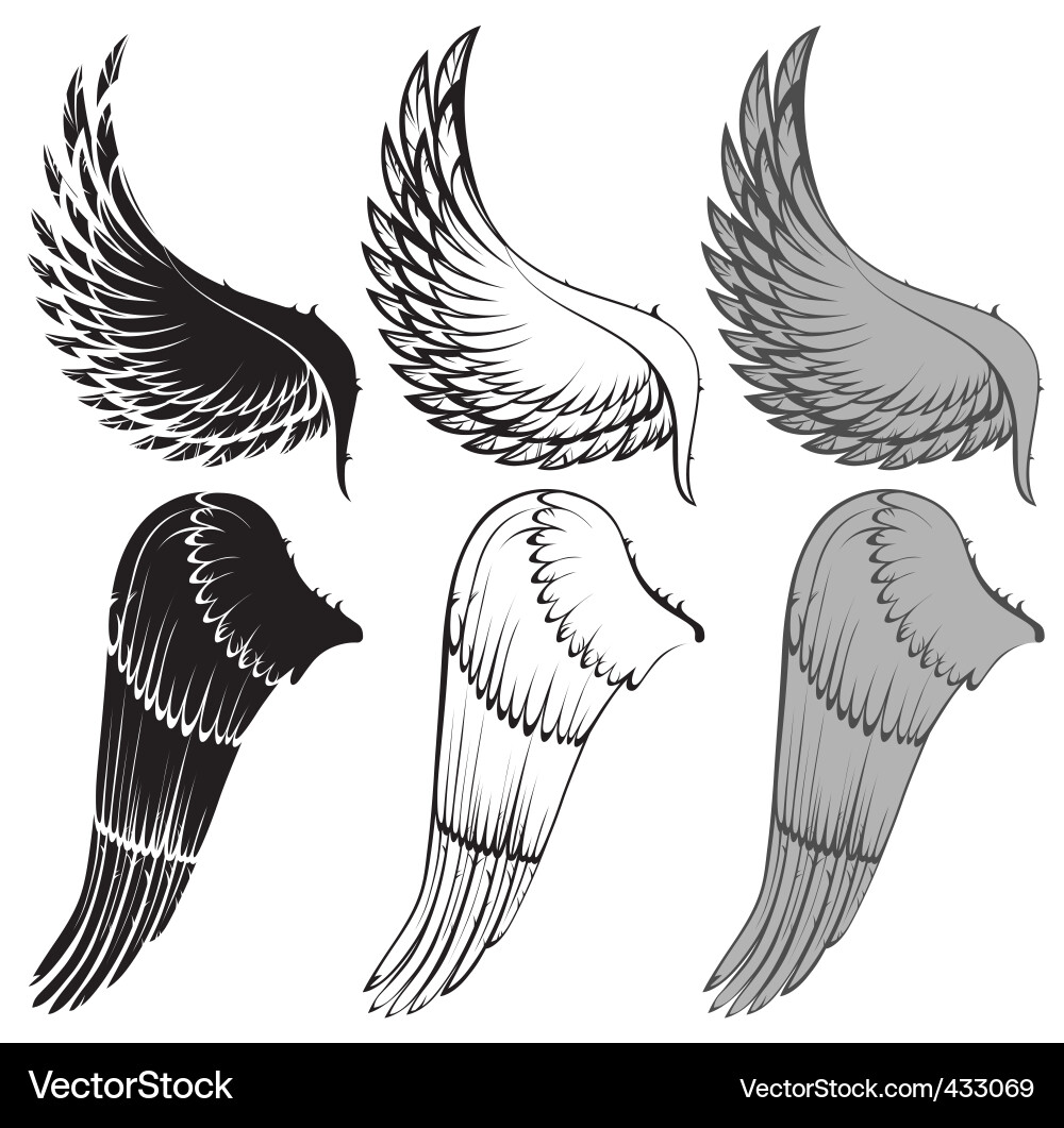 Wings Royalty Free Vector Image - VectorStock