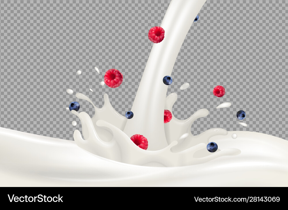 Yogurt splash berries milk flow Royalty Free Vector Image