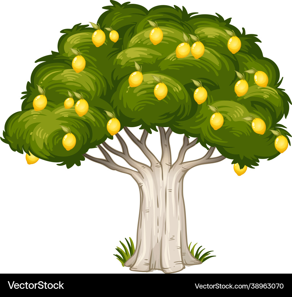 Lemon tree isolated on white background Royalty Free Vector