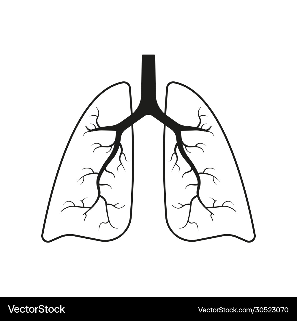 Simple Human Lungs Icon Royalty Free Vector Image