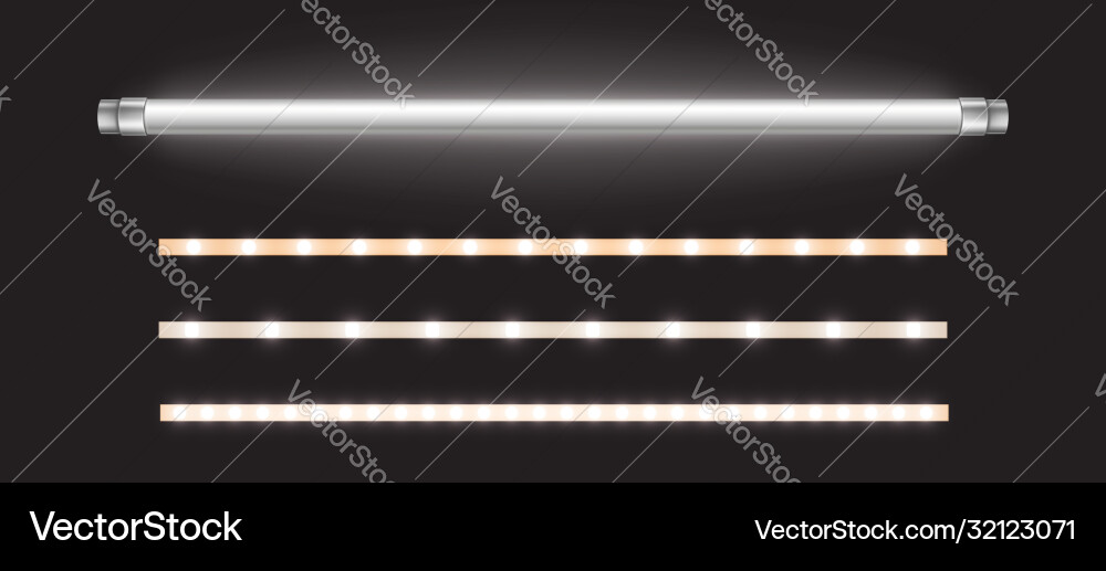 Fluorescent Tube & LED Strip Lighting Vector Image