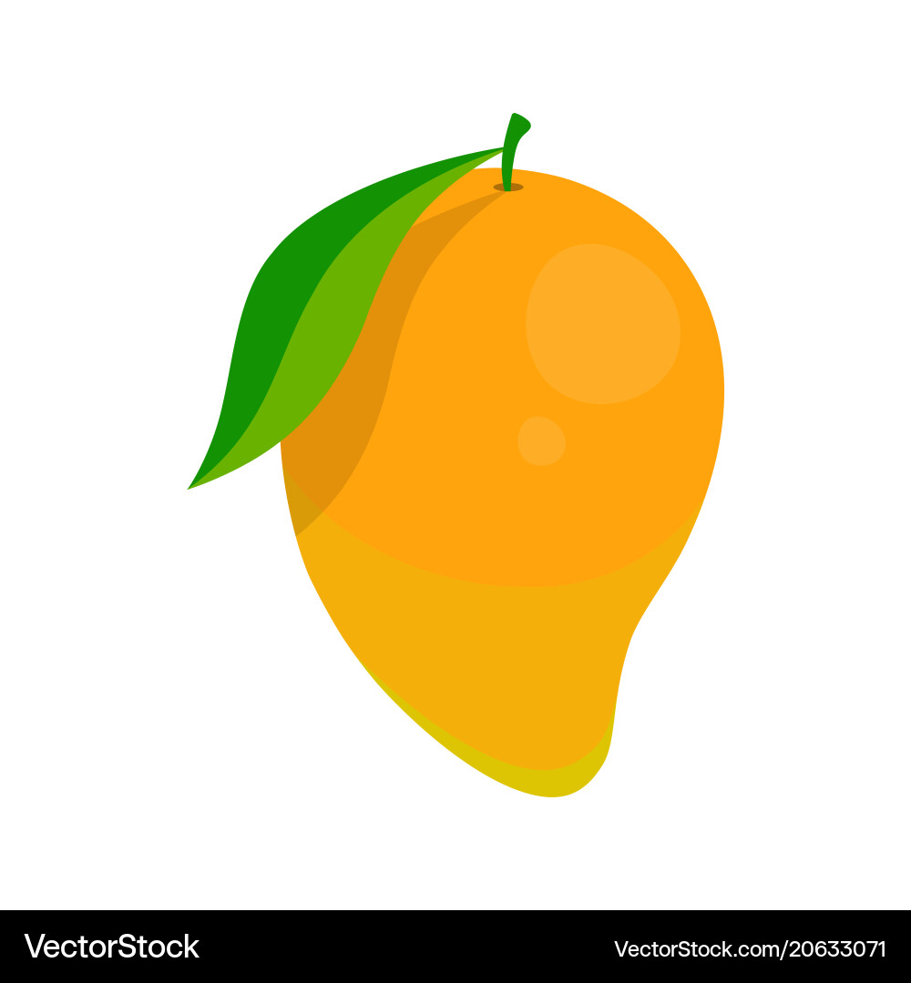 Picture of mango Royalty Free Vector Image - VectorStock