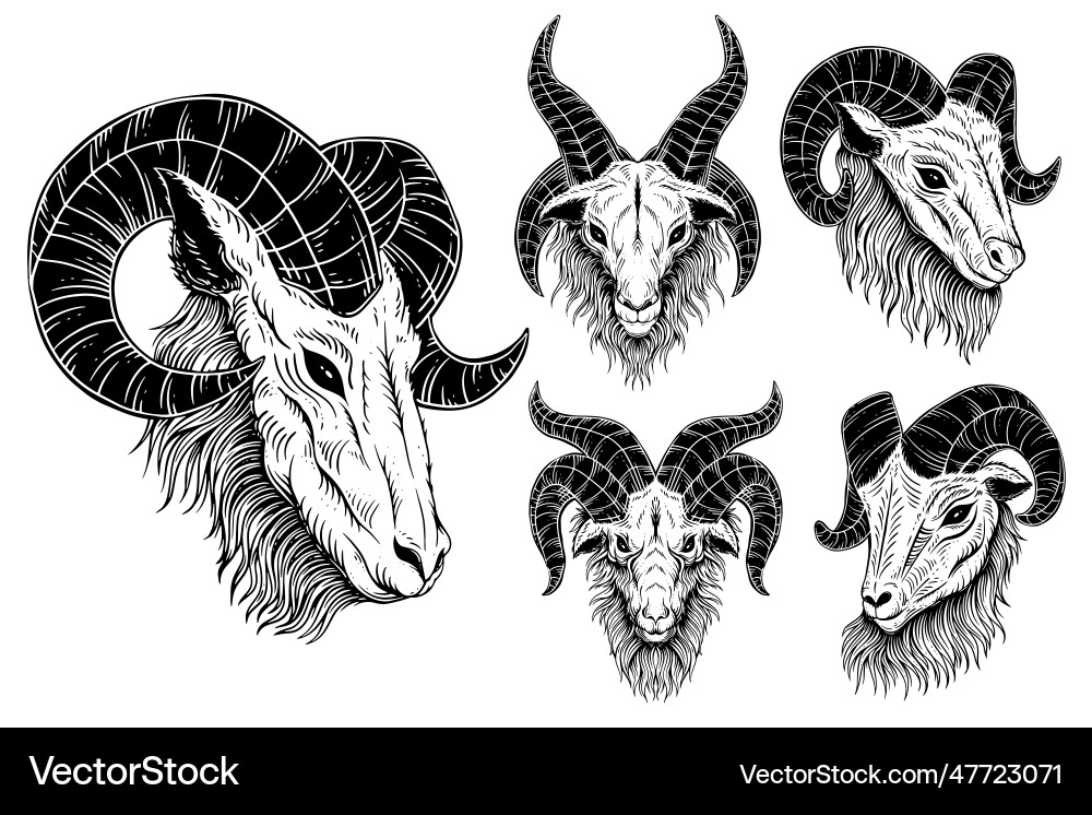 Satanic Goat Drawing