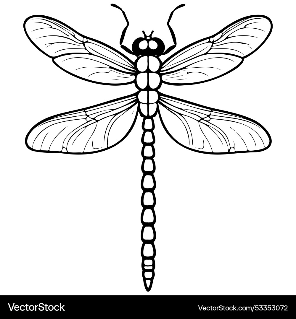 Engrave cartoon dragonfly hand drawn line Vector Image