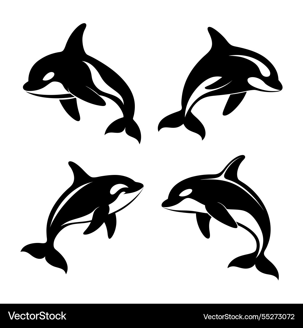Orca whale silhouettes set Royalty Free Vector Image