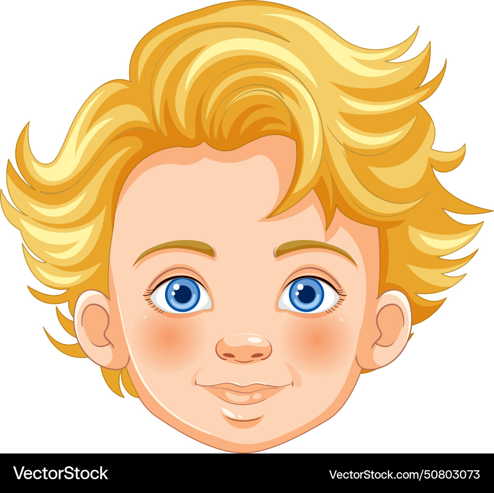 A young boy with bright blue eyes Royalty Free Vector Image
