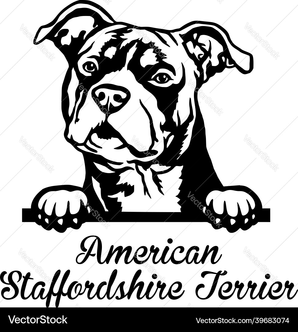 American Staffordshire Terrier Vector Images (over 470)