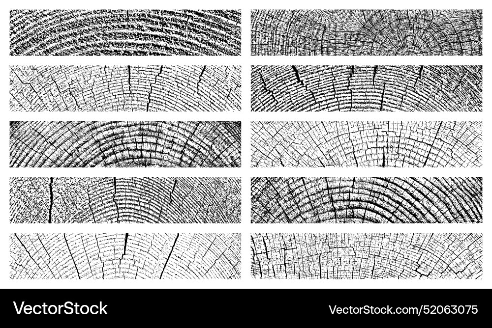 Distressed Wood Texture Royalty Free Vector Image