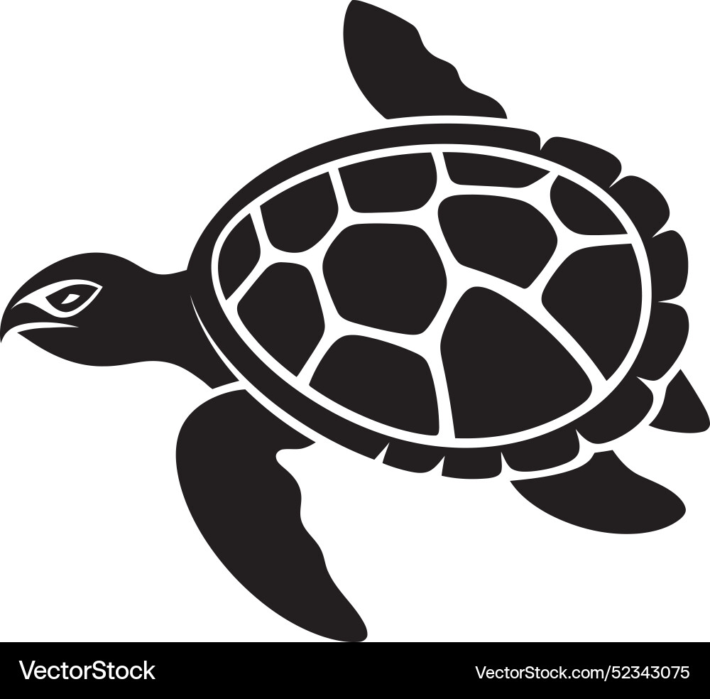 Graceful silhouette detailed turtle shadows blac Vector Image