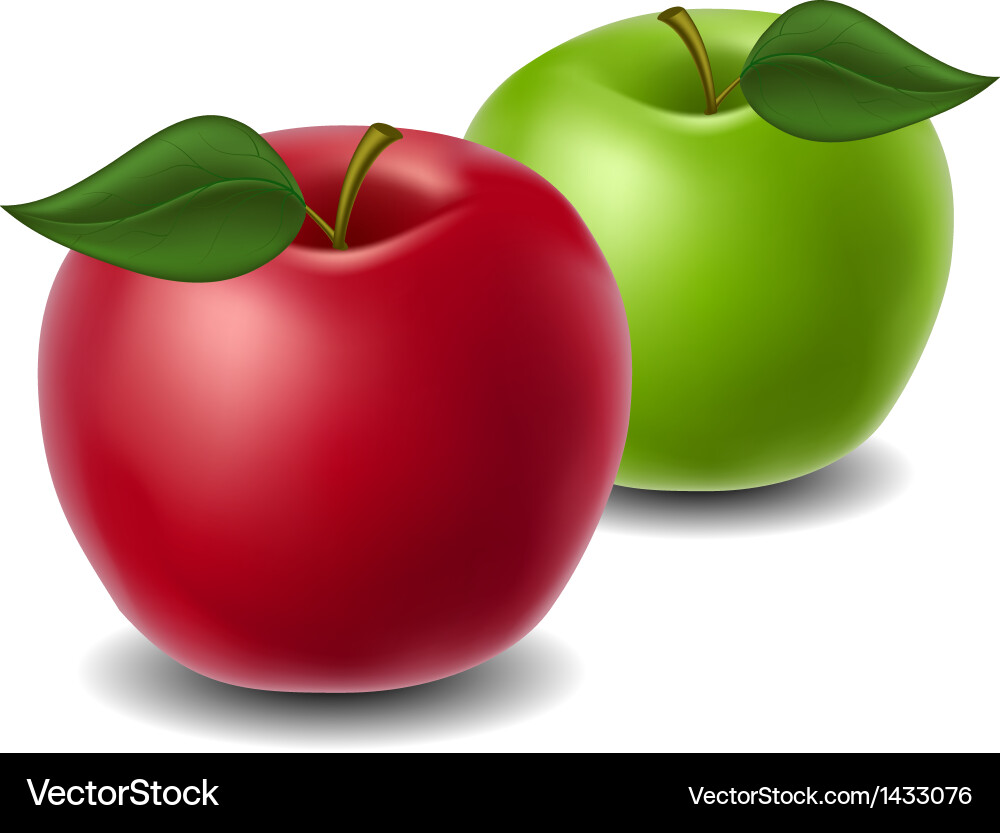 Red and green apple Royalty Free Vector Image - VectorStock