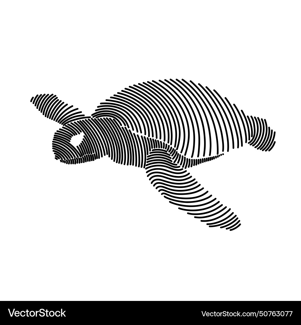 Elegant Sea Turtle Line Art Royalty Free Vector Image